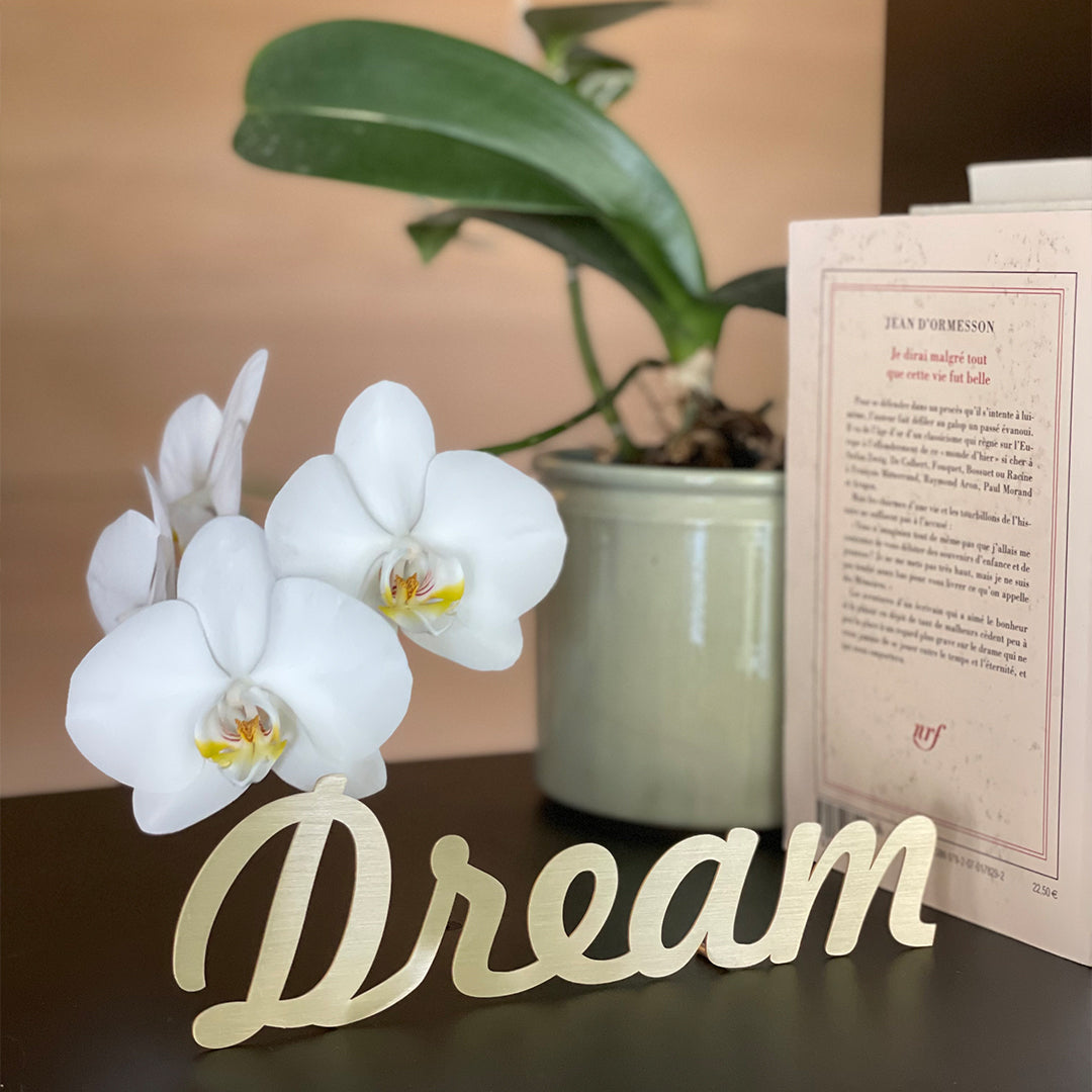 Stand alone brass words - Dream – DECORE